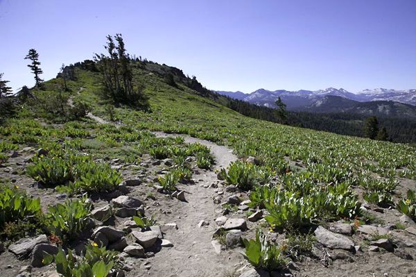 Ellis Peak - like being on top of the world - Lake Tahoe NewsLake Tahoe ...