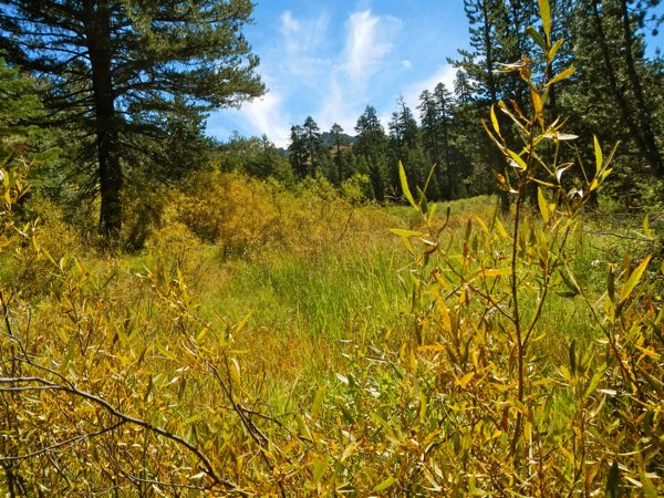 Trek to Raymond Lake a contrast in landscape - Lake Tahoe NewsLake ...