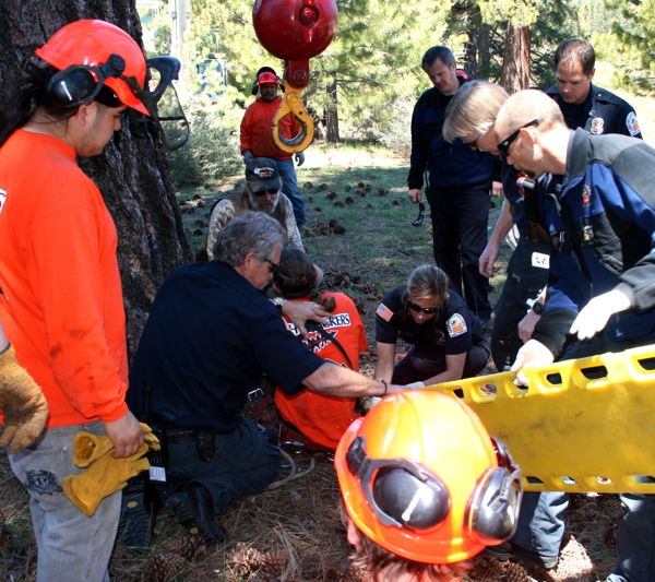 Tree felling accident ends without serious injuries - Lake Tahoe ...