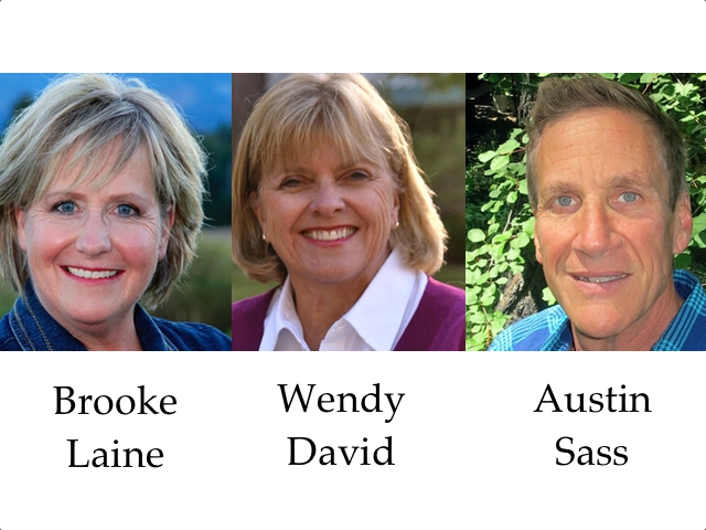 Editorial: Laine, David, Sass for S. Tahoe council - Lake Tahoe ...
