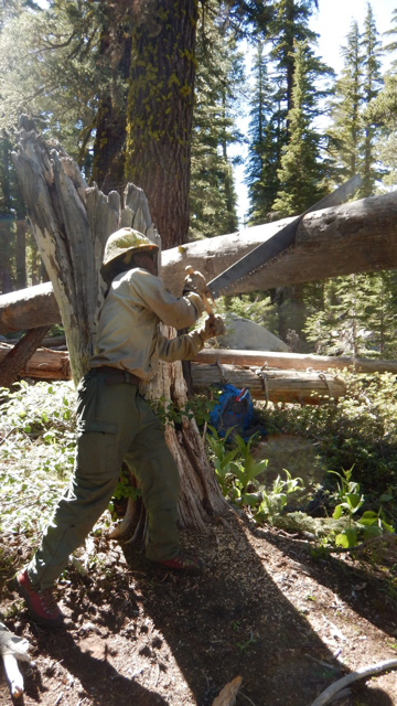 Forest ranger - not a job for the weak, timid - Lake Tahoe NewsLake ...