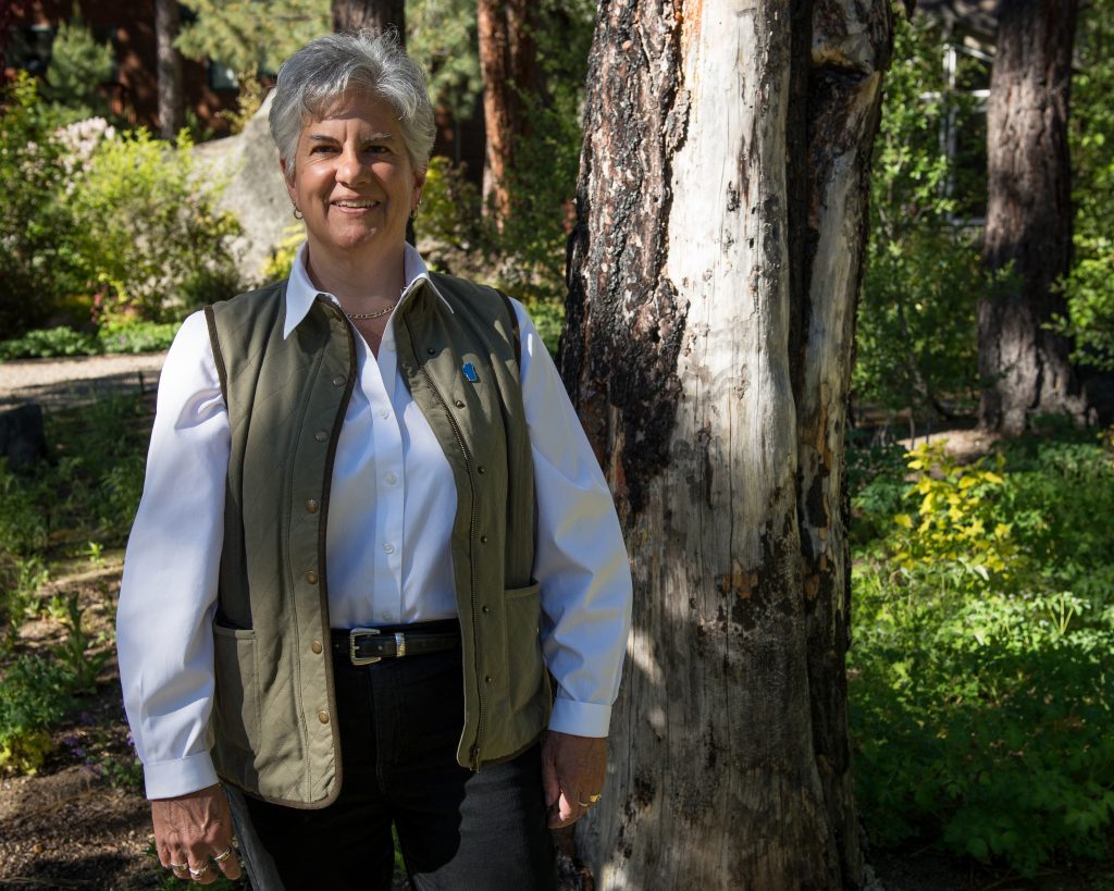 Angora memories: Living with the forest - Lake Tahoe NewsLake Tahoe News